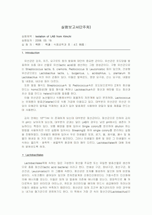 [식품미생물학실험]김치로부터 젖산균의 분리(isolation of LAB from kimchi)