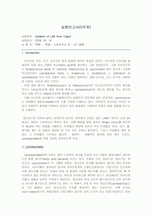 [식품미생물학실험] 요거트로부터 젖산균의 분리(isolation of LAB from yogurt)