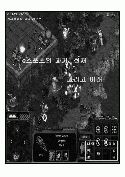 2007년 E스포츠의 발전방향 (경제학)