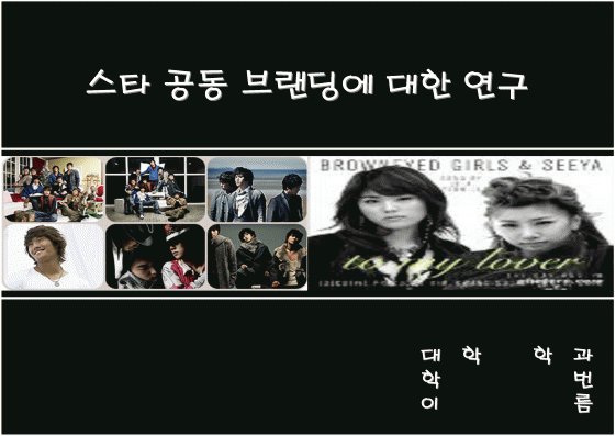 스타 공동 브랜딩에 대한 연구(대중문화 소비심리).