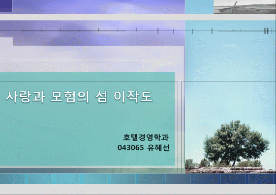 [사회과학] [문화 관광 경영] 문화 관광지로서의 이작도 개발