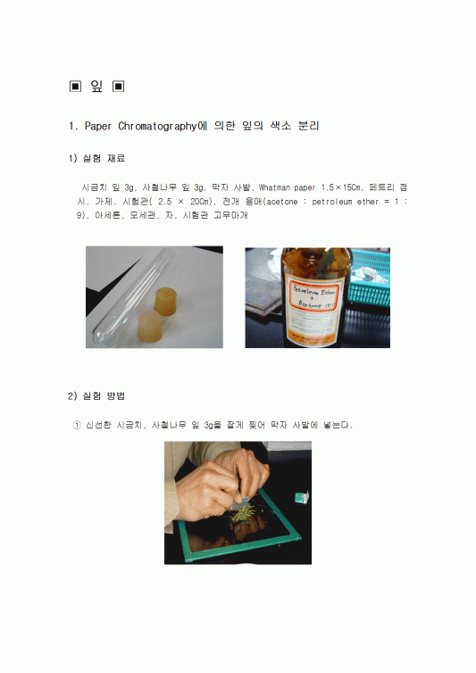 Paper Chromatography에 의한 잎의 색소 분리, 크레마토그라피