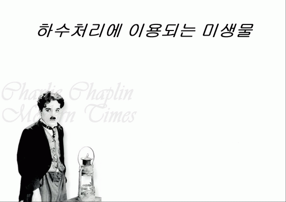 하수처리에 이용되는 미생물(파포)