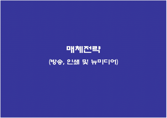 매체전략-방송,인쇄,및 뉴미디어 정리/요약(파워포인트)