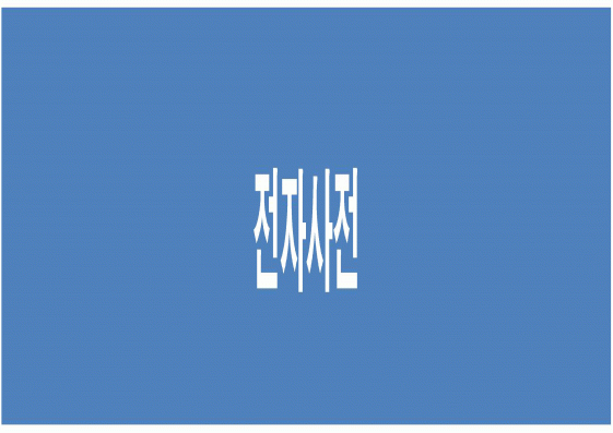 세계를 평평하다 사업계획서(전자사전)
