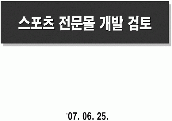 스포츠 전문몰 개발 검토서