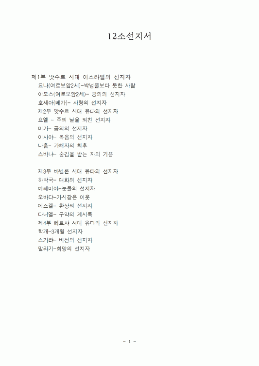 12소선지서 레포트 자료