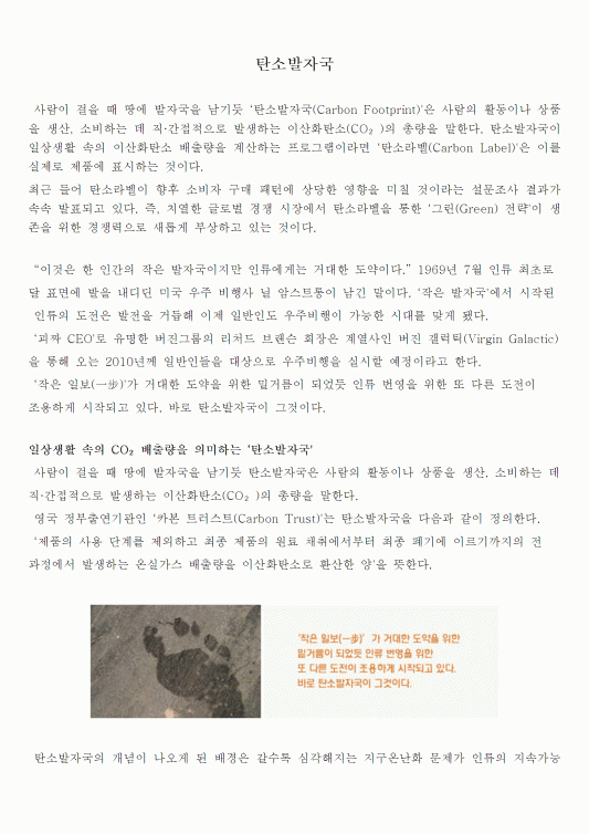 탄소발자국 레포트 자료