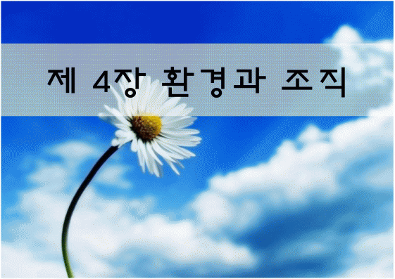 (조직구조론) `환경과 조직`을 요약한 발표 파워포인트