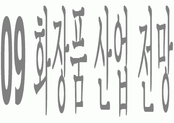 [시장조사론]2009 화장품 산업 전망