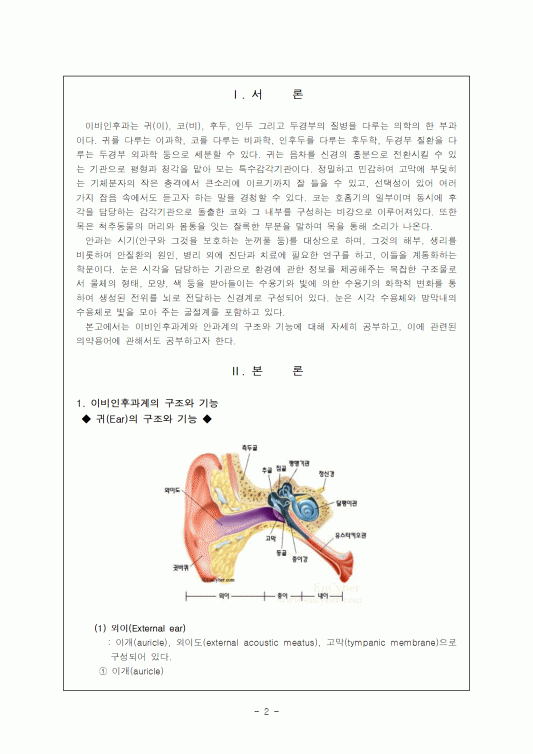 이비인후과&안과계의 구조와 기능