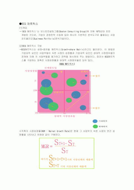 BCG 매트릭스 레포트 자료