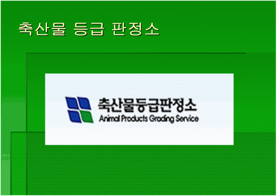 [축산식품학] 축산물등급판정소에 대하여