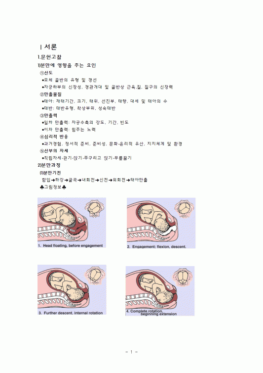 분만 간호과정