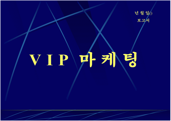 VIP마케팅 레포트 자료