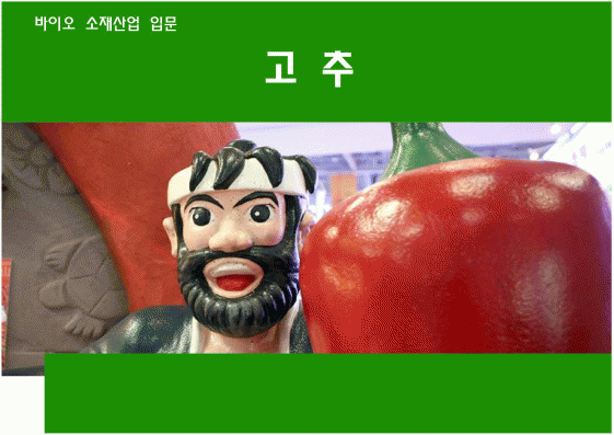 고추에 대하여