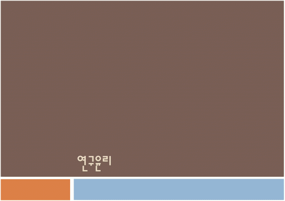 연구 윤리 레포트 자료