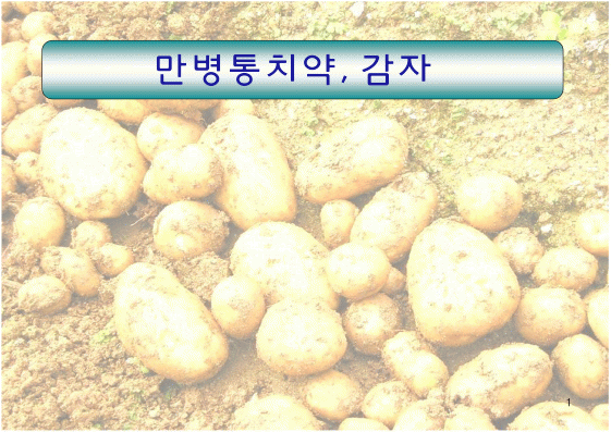 만병통치약 감자