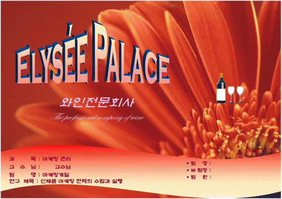 신제품 마케팅전략 수립과 실행/마케팅관리 과제