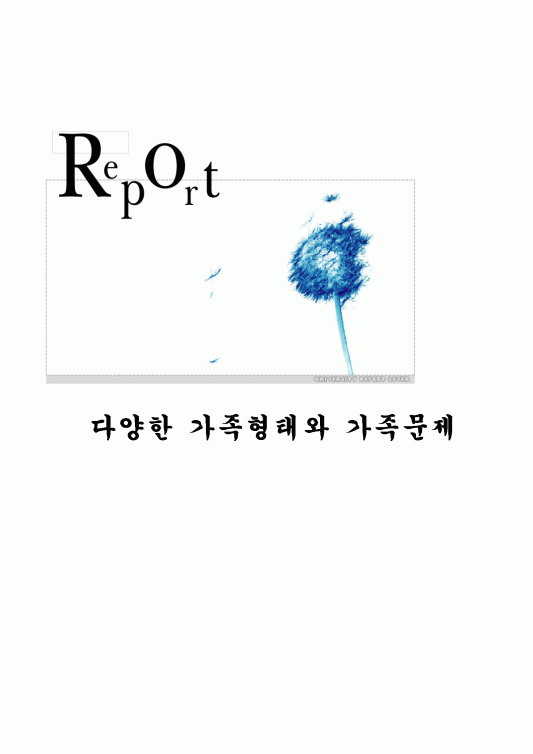 다양한 가족형태와 가족문제
