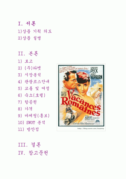 여행사 창업 레포트 자료