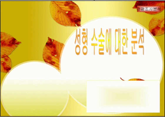 성형에 대한 조사분석