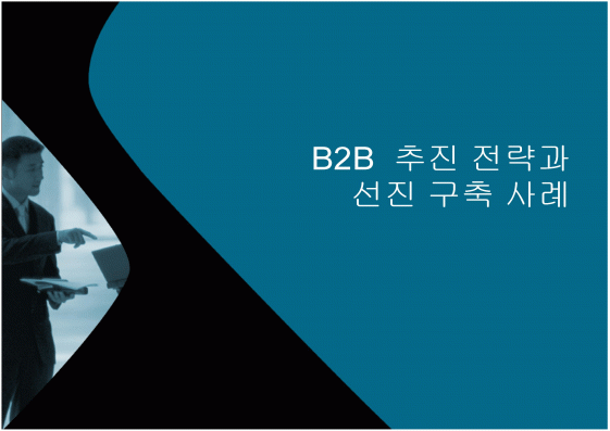 B2B  추진 전략과 선진 구축 사례