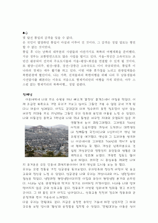 가상 통일국토 감상문