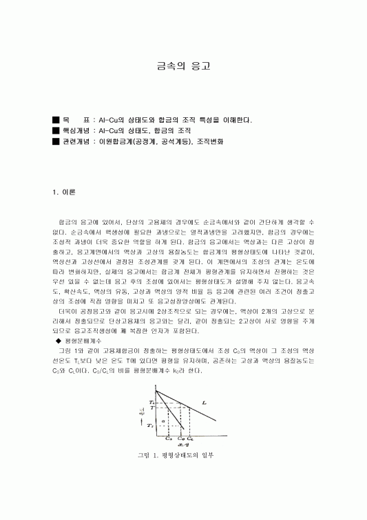 금속의응고 레포트 자료
