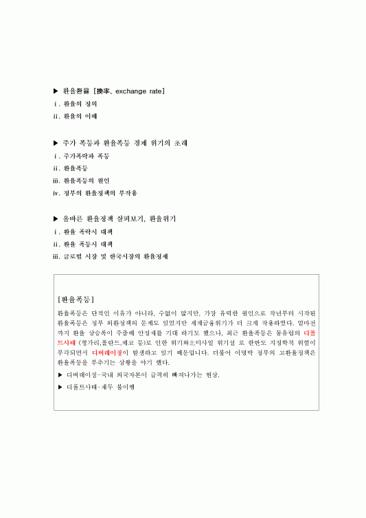 고환율정책과 환율폭등