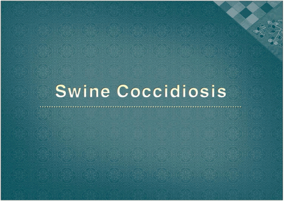 Swine Coccidiosis (돼지 콕시듐증)에 관한 팀 프로젝트(특)// 수의학과 학생이 직접 제작
