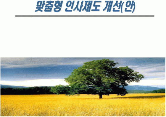 맞춤형 인사제도 개선