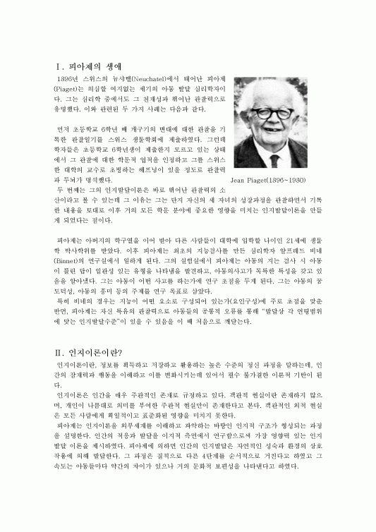 피아제의 인지발달 단계