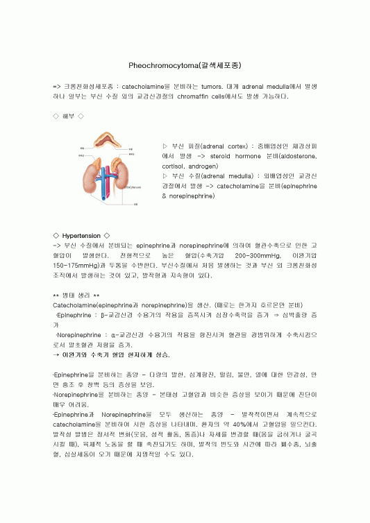 갈색세포종 레포트 자료