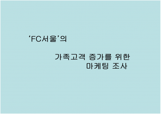 FC서울 마케팅조사