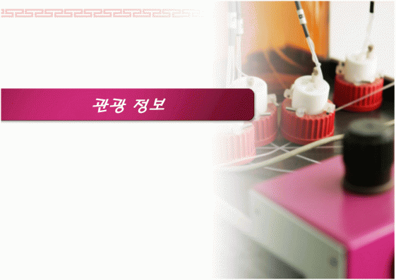 관광정보의 기능과 중요성 종류와 이용 관광정보시스템