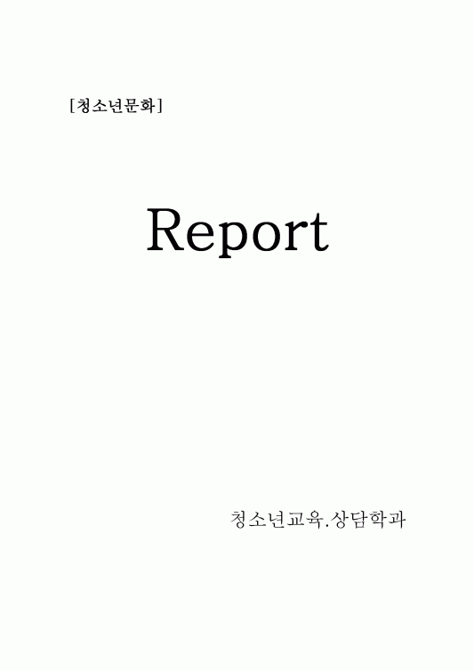 청소년 문화 레포트