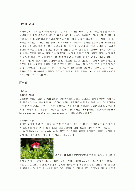 [화학] 의약품속의 화학(아편과 몰핀에 대하여)