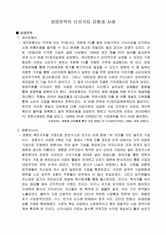 경영전략의 다섯가지 유형과 사례
