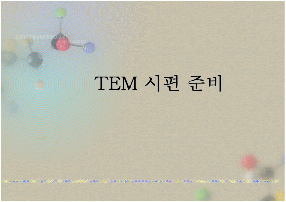 tem에 대해 레포트 자료