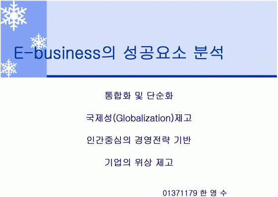 E-business의 성공요소 분석