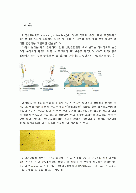 ICC의 이론과 실습