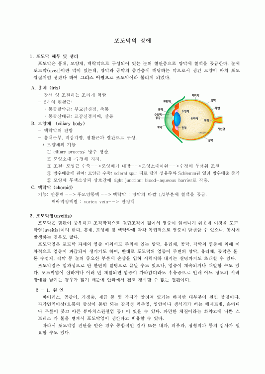 포도막의 장애