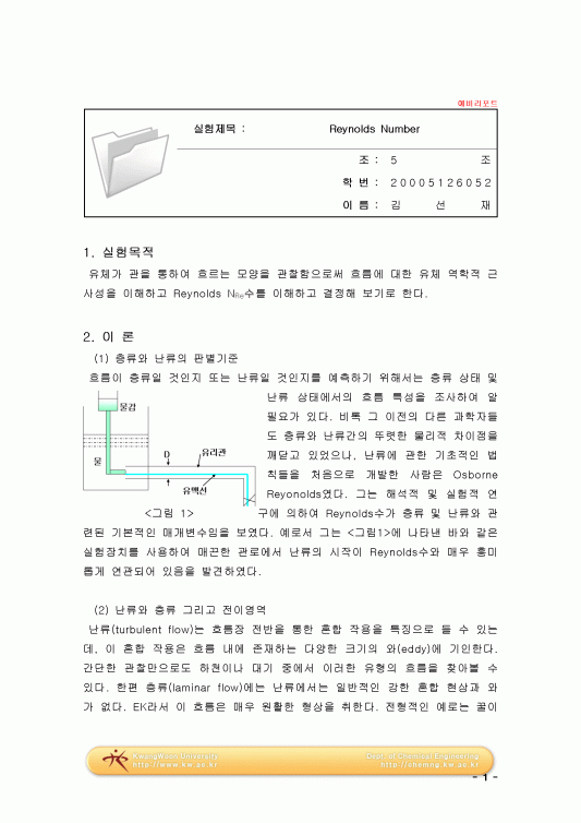 레이놀즈 수 Reynolds Number 예비레포트.