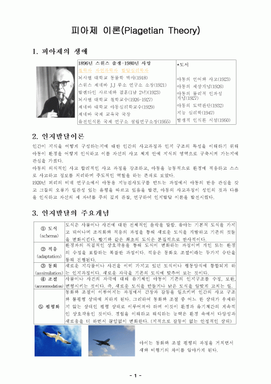 유아교육학과의 입장에서 본 피아제의 인지발달이론