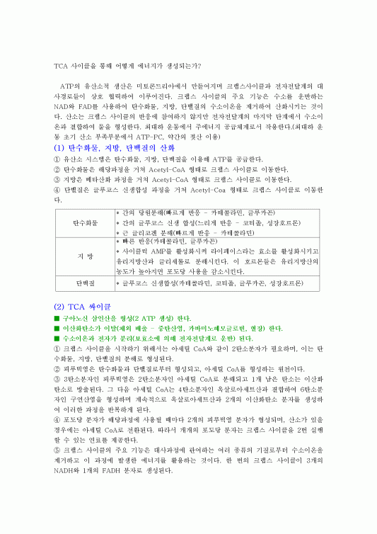 크랩스 사이클 (TCA 사이클)의 기전