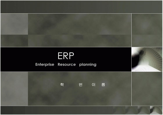 ERP에 대해서 (PPT 발표자료)