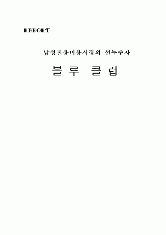 블루클럽 마케팅 전략 분석 [레포트]