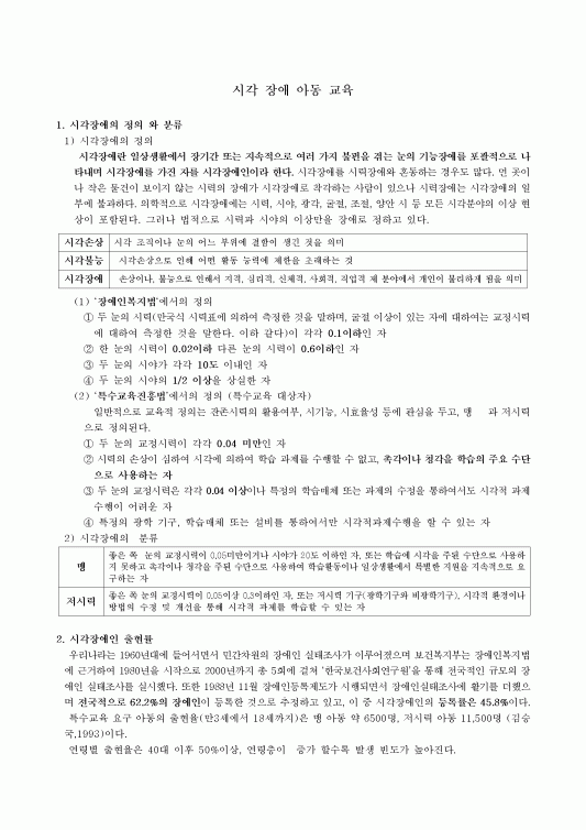 시각 장애 아동 교육