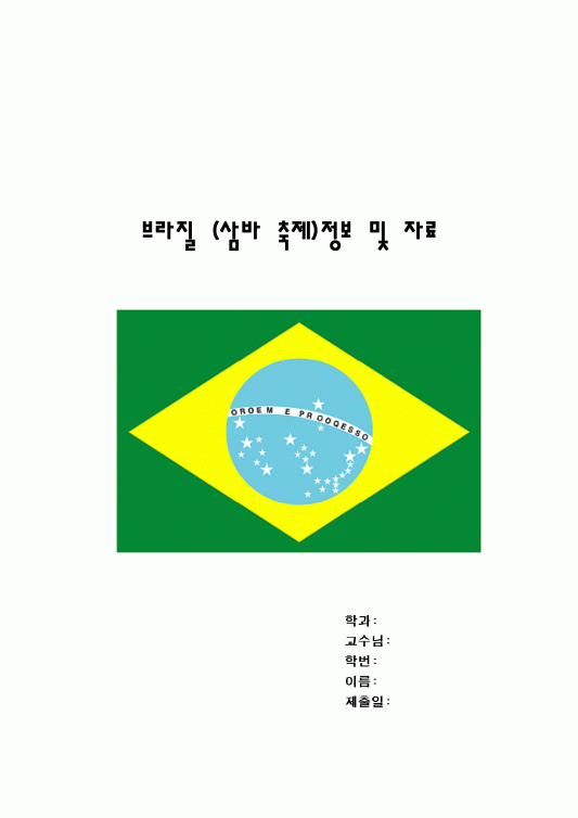 브라질 정보 와 축제